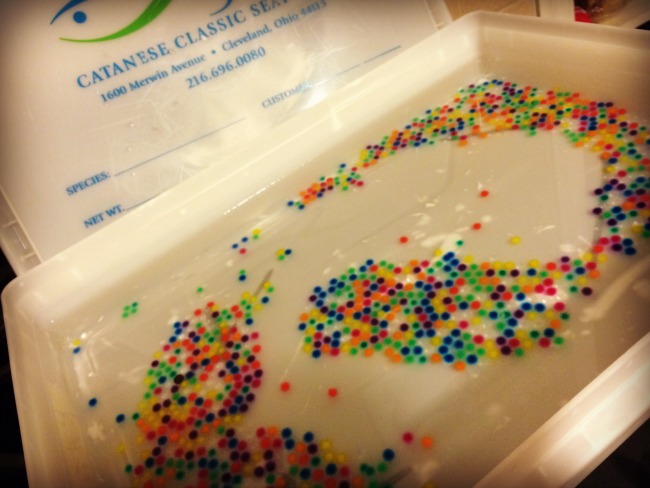 10 Ideas for Preschool Fun with Water Beads - The Little Things Journal